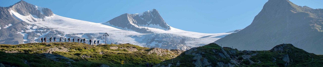 Samenwerkingen | NKBV