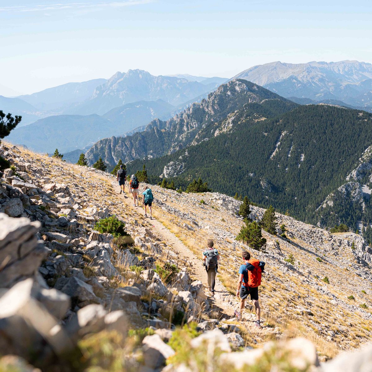 Nieuw zomerprogramma Bergsportreizen 2024 online | NKBV
